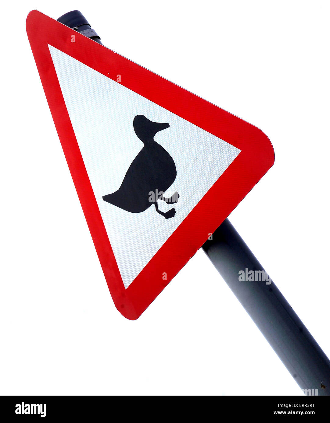 Duck crossing sign Stock Photo - Alamy