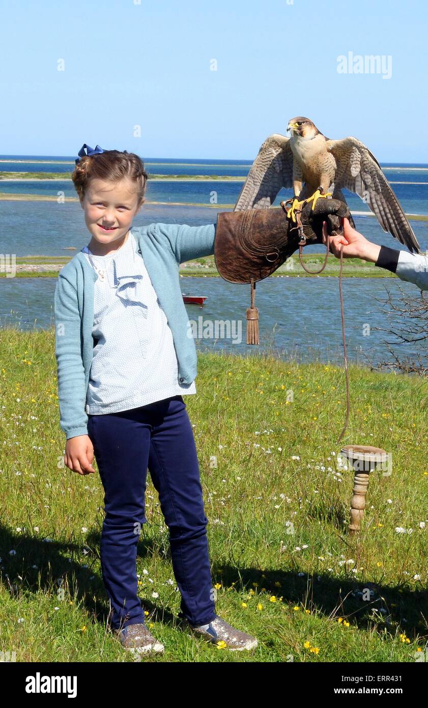 Danish Princess Isabella with raptor on her arm is visiting Samsoe ...