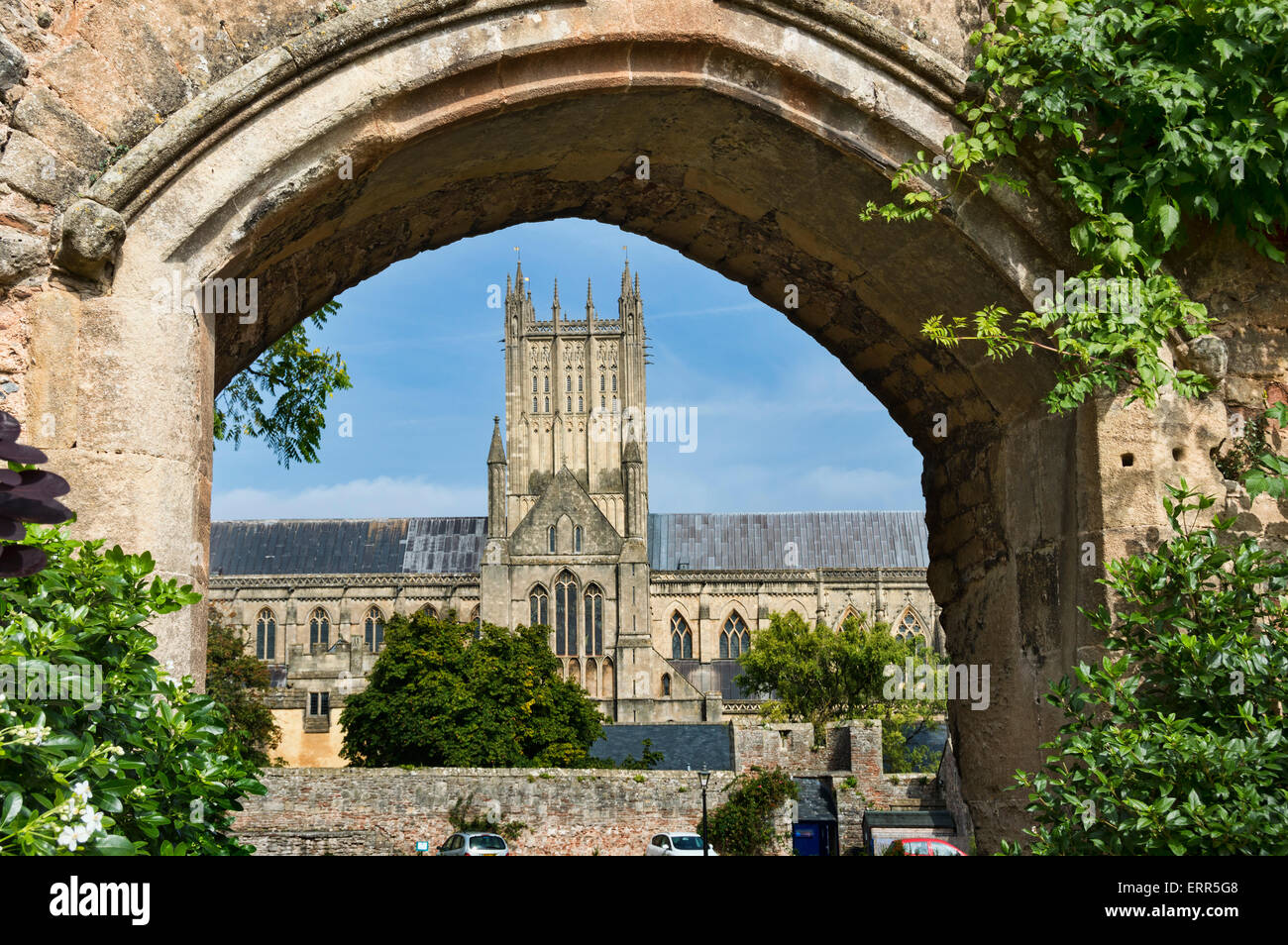 Wells cathedral from Bishops Palace Gardens, arch, city, Somerset ...