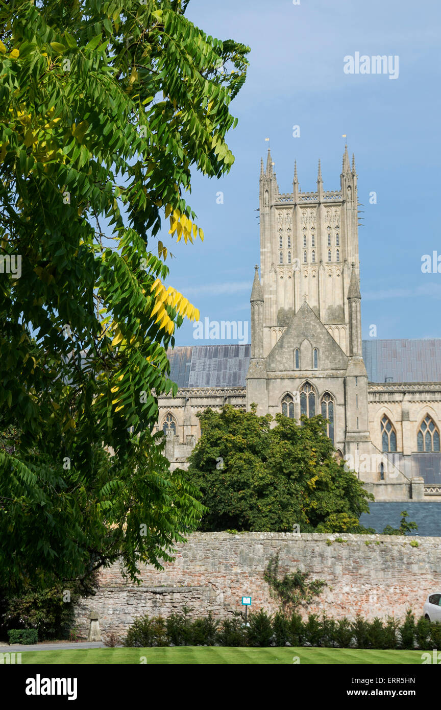 Wells cathedral from Bishops Palace Gardens, city, Somerset, England UK ...