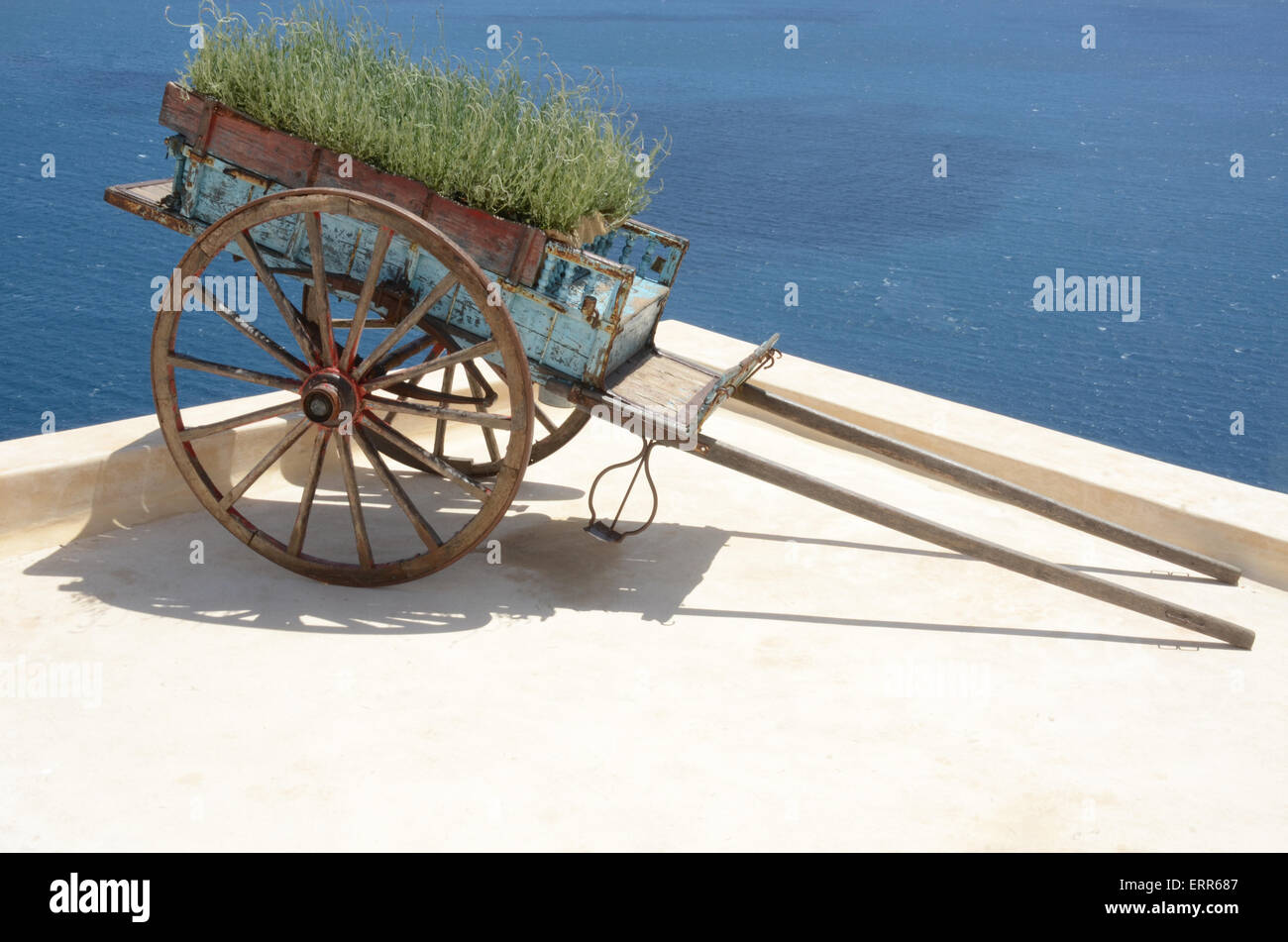 Cart full of lavender plants on rooftop, Oia, Santorini, Greece Stock ...