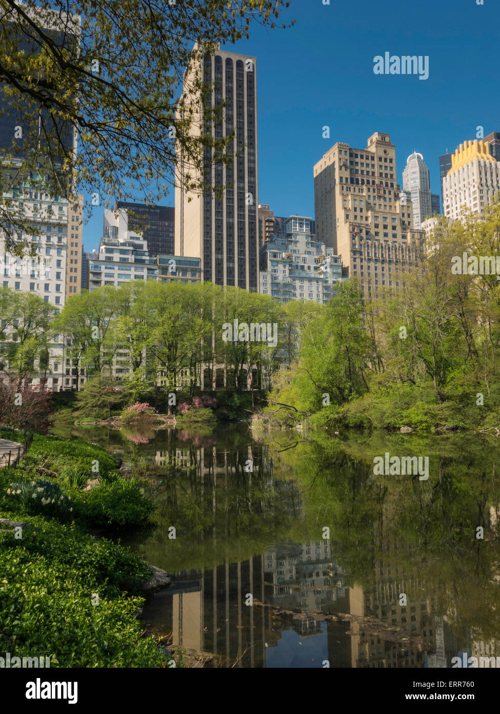 Central Park Pond with Skyline in Background, NYC Stock Photo - Alamy