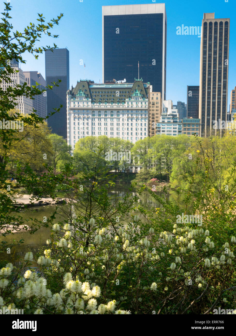 Central Park Pond with Plaza Hotel in Background, NYC Stock Photo - Alamy