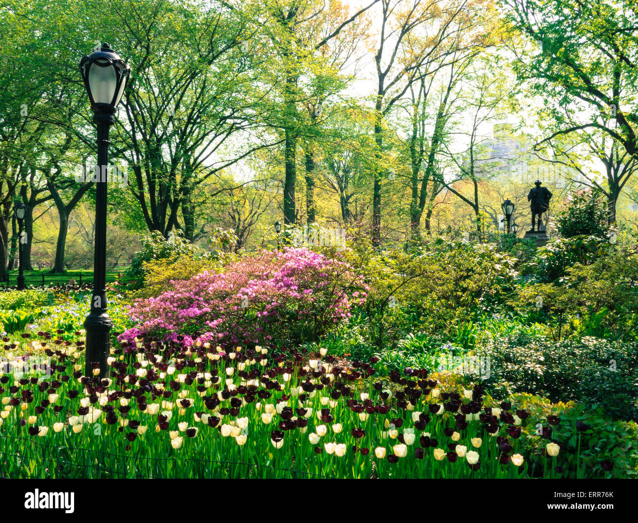 Flowers in Central Park in the Springtime, NYC Stock Photo - Alamy