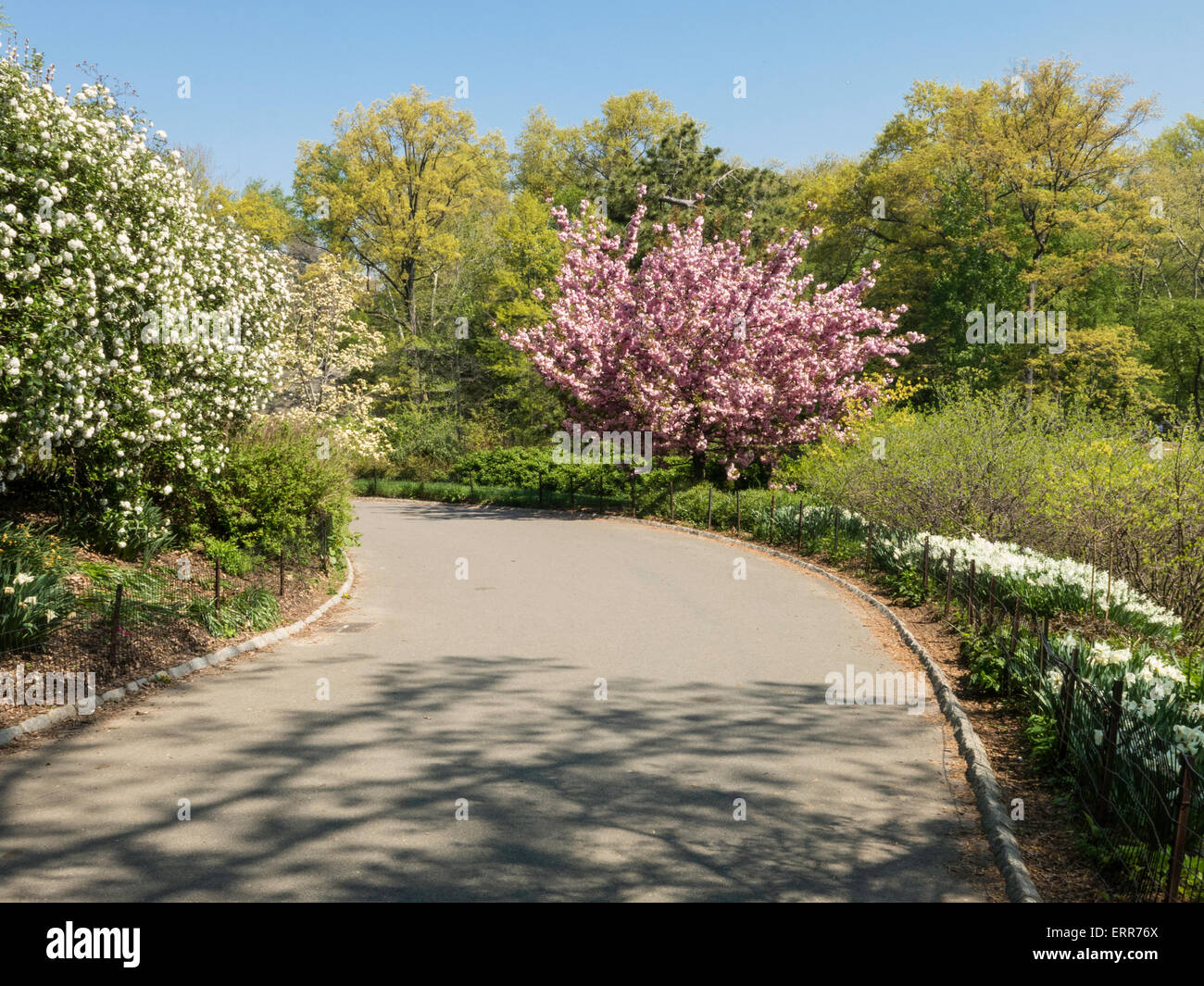 Walking Path in Central Park, New York City Stock Photo - Alamy