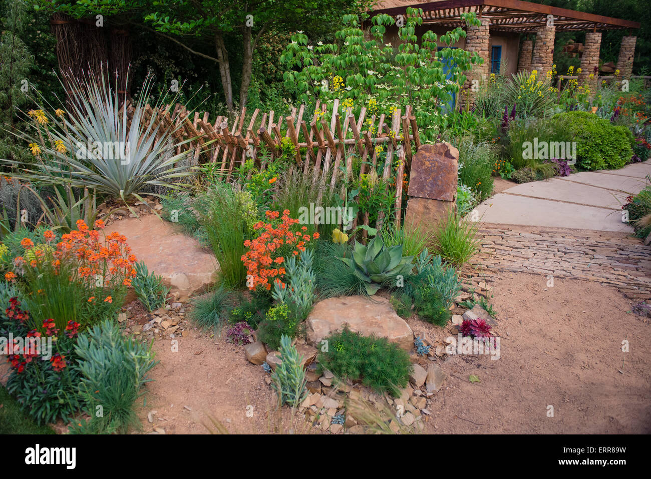 Sentebale hi-res stock photography and images - Alamy