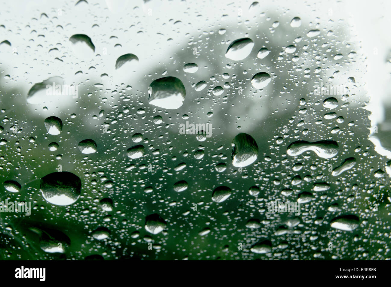 Rain drops on window Stock Photo - Alamy