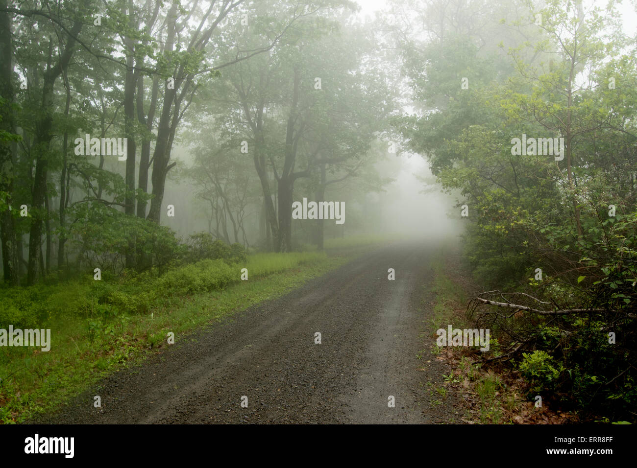 Foggy path on gravel road, Sam's Point Park, New York Stock Photo - Alamy