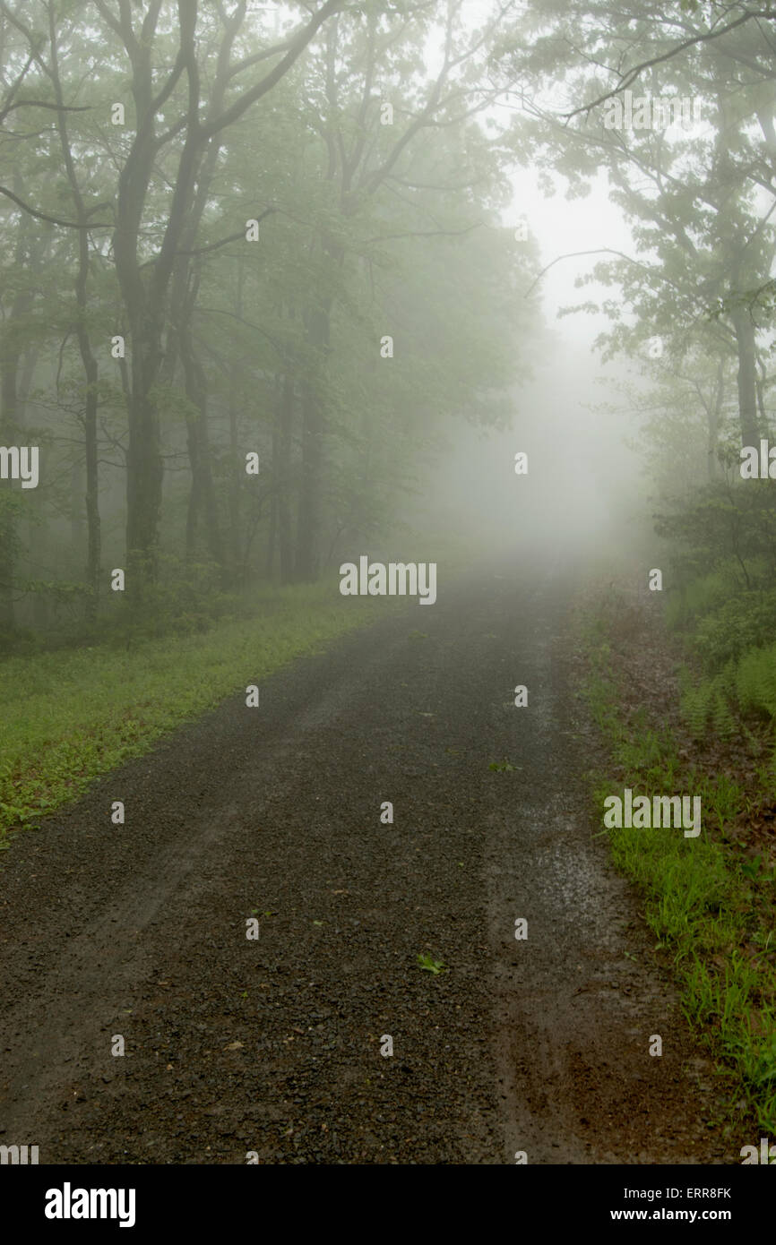 Foggy path on gravel road, Sam's Point Park, New York Stock Photo - Alamy