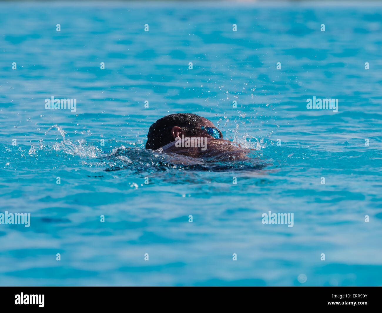 Male swimmer in blue pool Stock Photo - Alamy