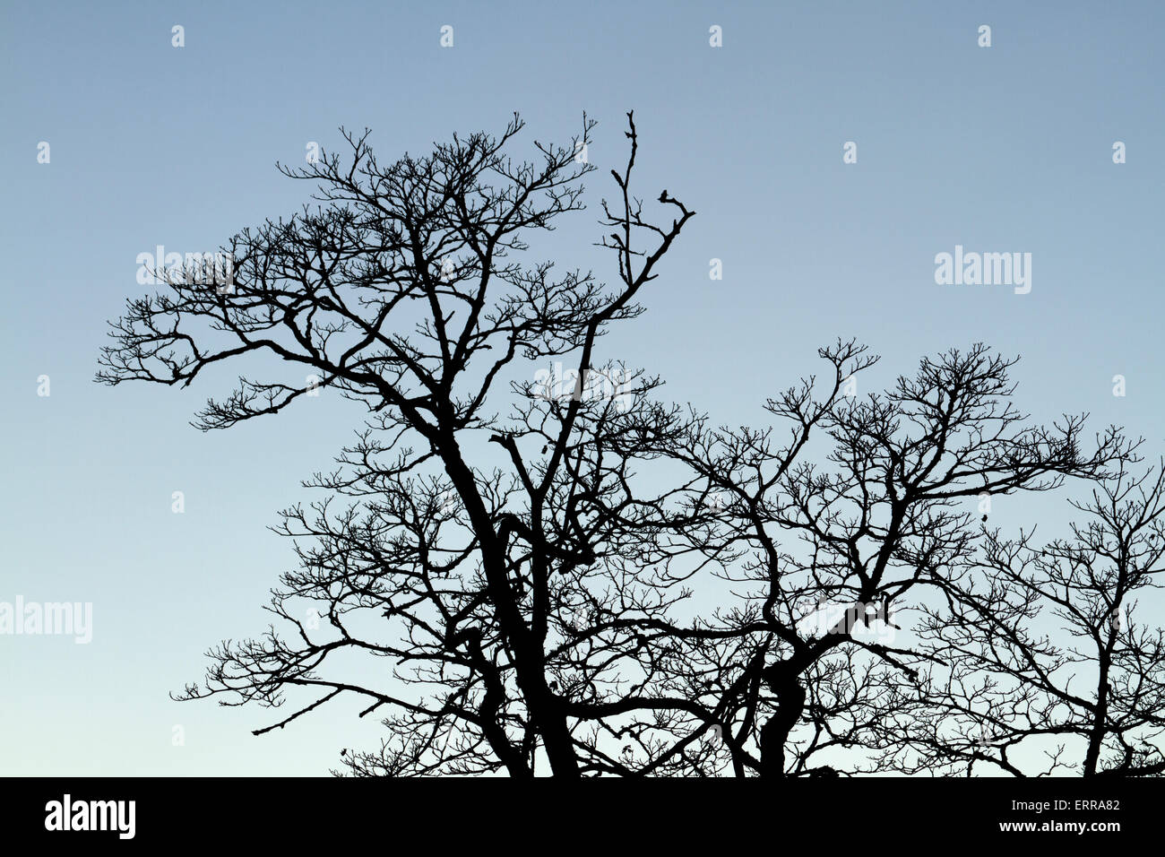 Goran strandsten hi-res stock photography and images - Alamy