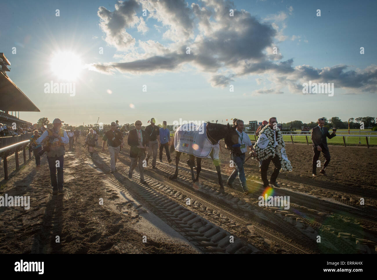 Elmont, New York, USA. 6th June, 2015. AMERICAN PHAROAH, trained by BOB ...