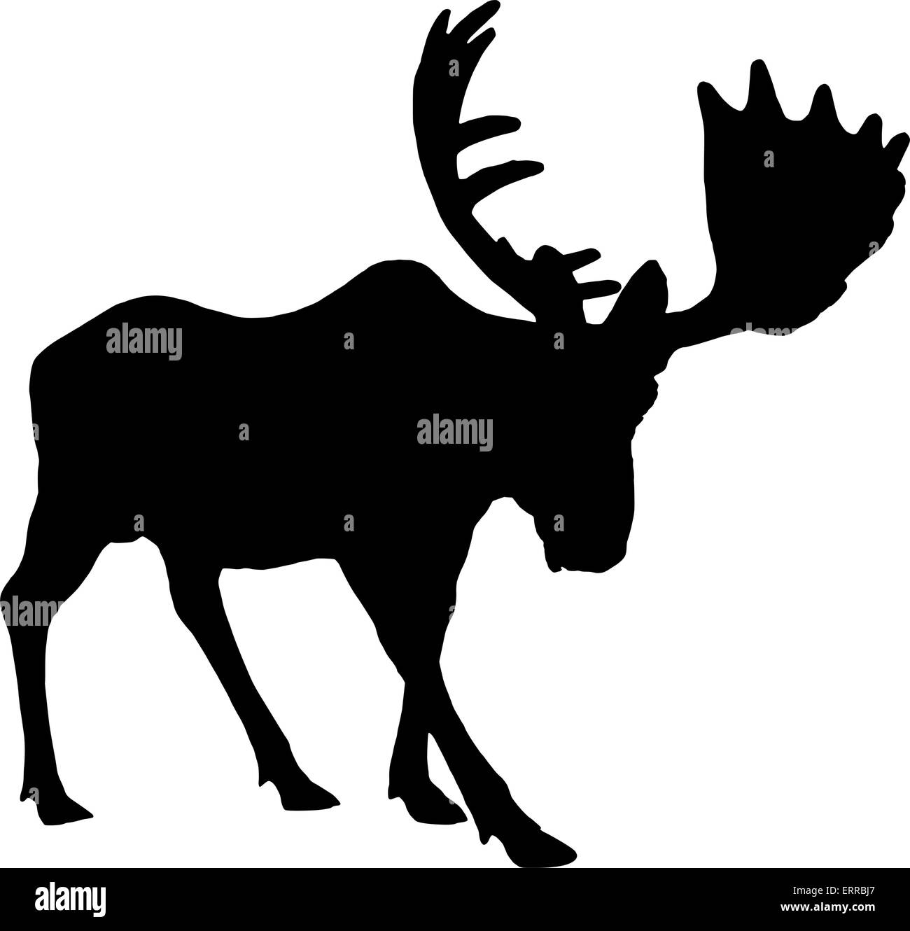 8 feet Stock Vector Images - Alamy