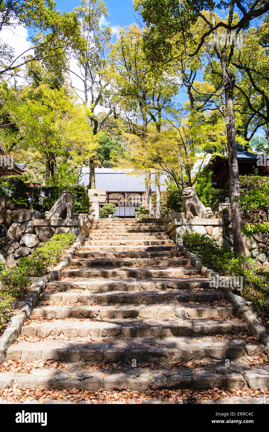 Path leading to main temple hi-res stock photography and images - Alamy