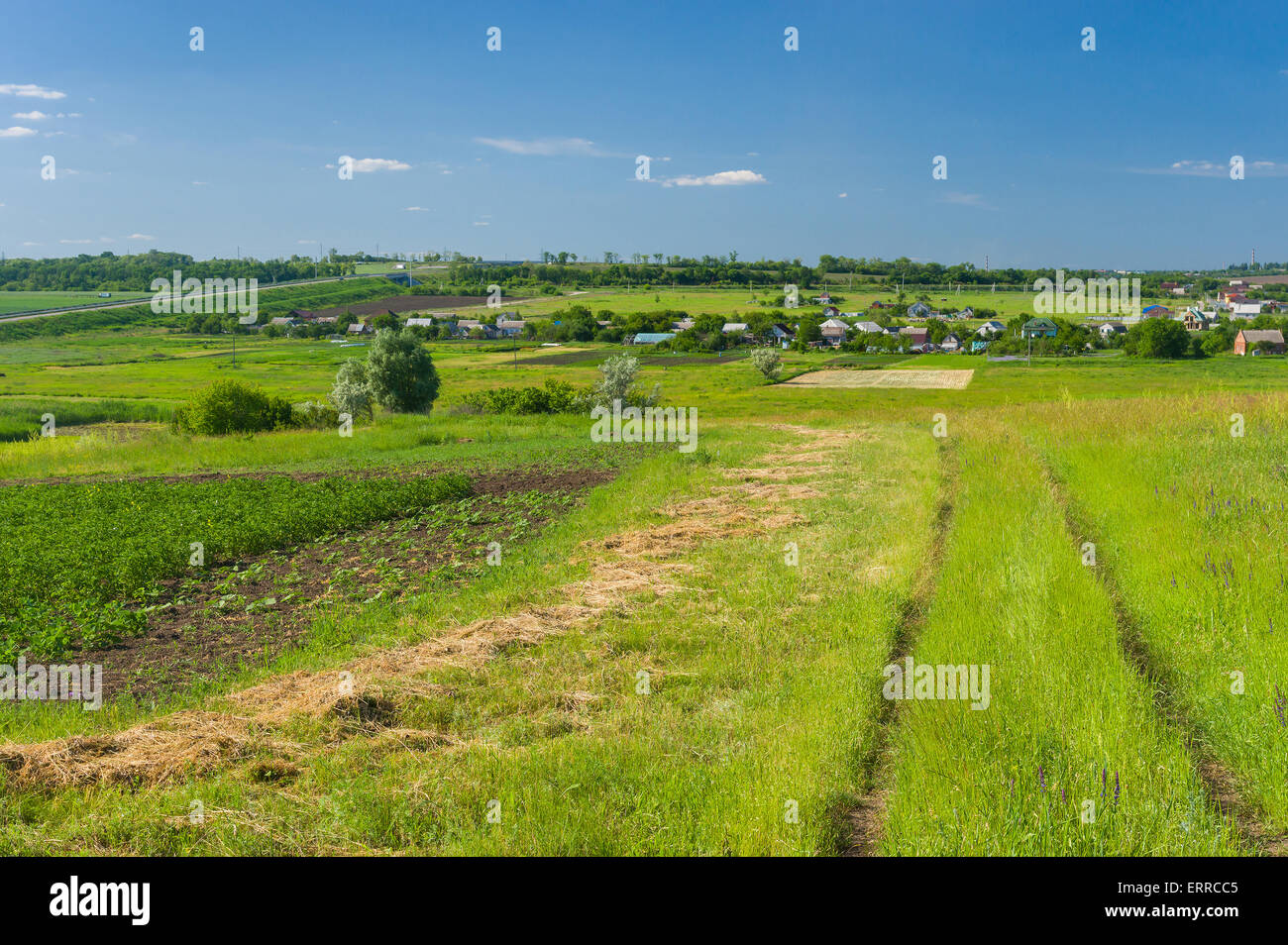 Rural landscape at summer season, central Ukraine Stock Photo - Alamy