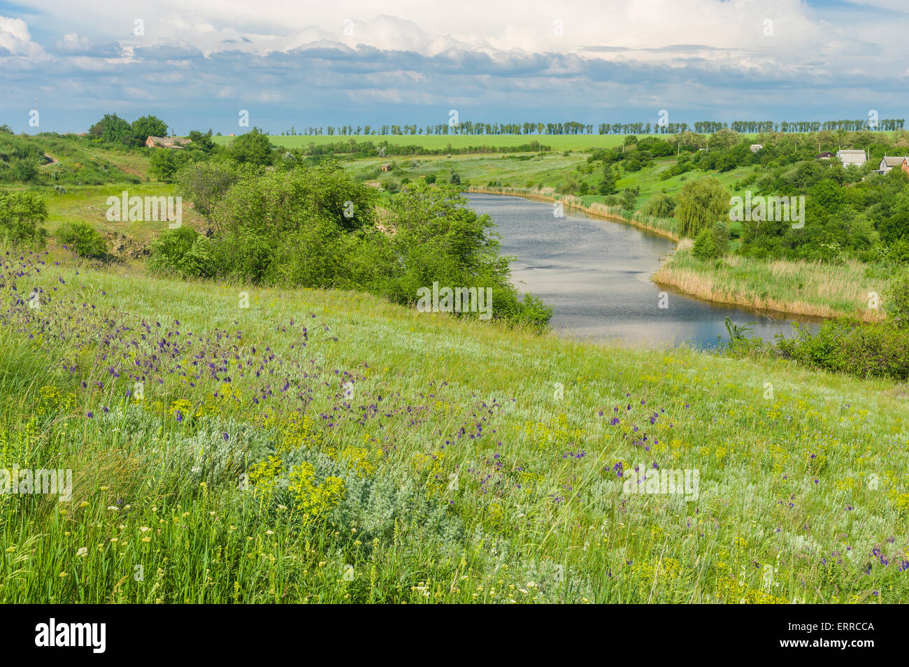 Ukrainian rural landscape with small river Sura at summer season Stock ...