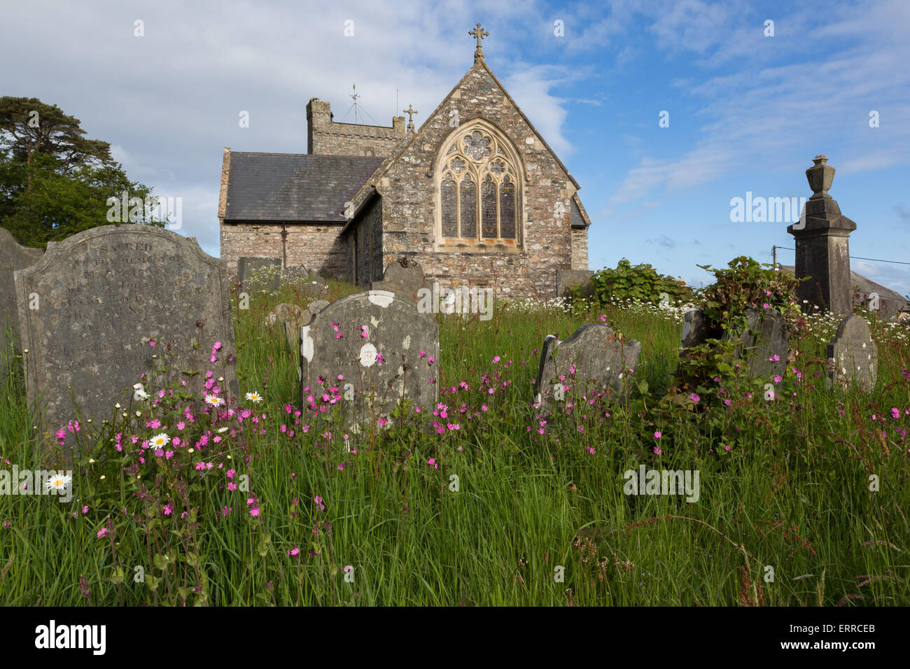 The church of St Mary's in Newport / Trefdraeth, Pembrokeshire, Wales ...
