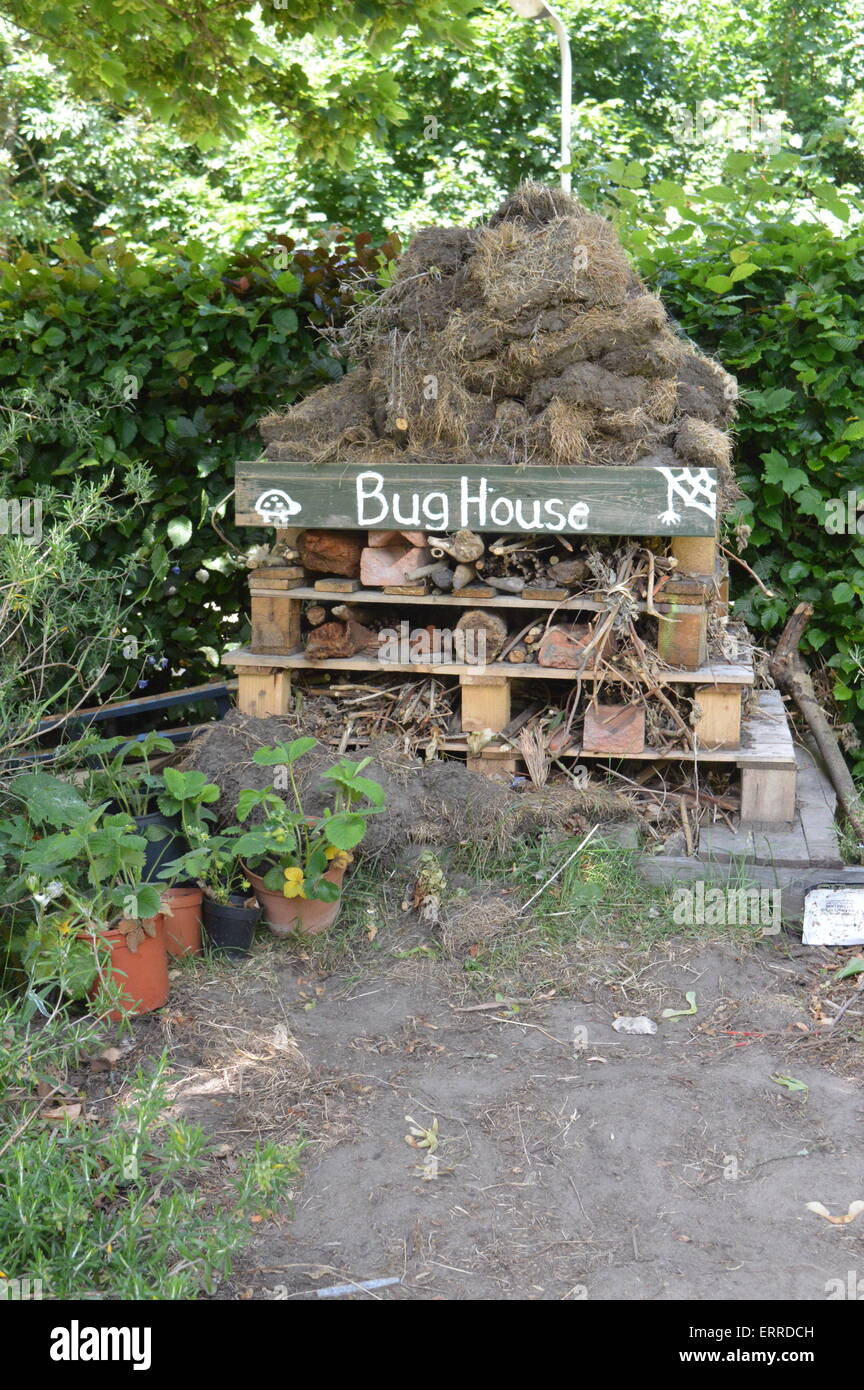 Bug house hi-res stock photography and images - Alamy