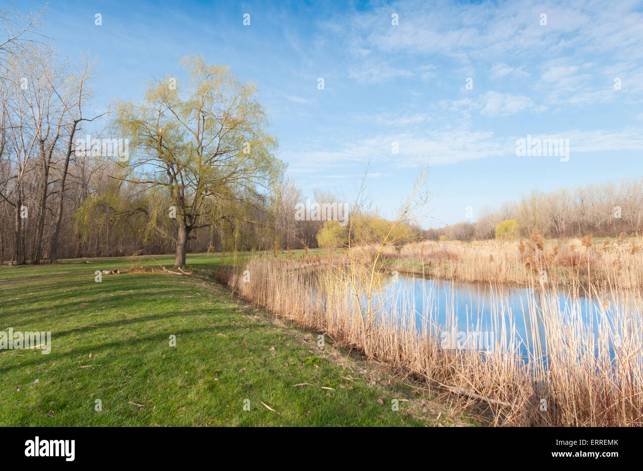 Angrignon park montreal hi-res stock photography and images - Alamy