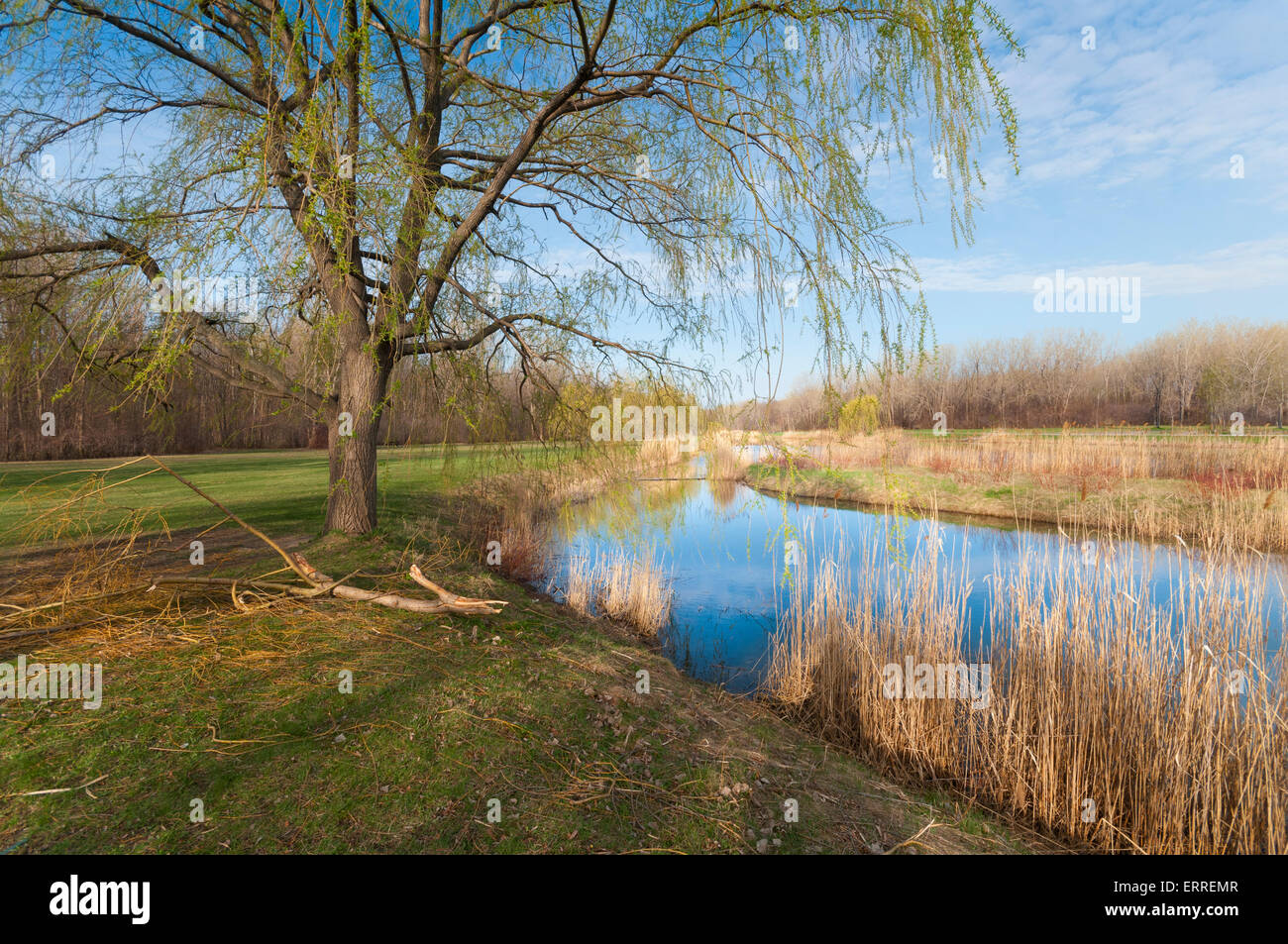 Angrignon park montreal hi-res stock photography and images - Alamy