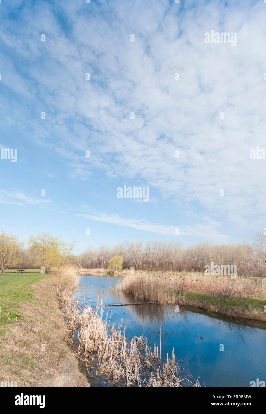 Spring in a park Stock Photo - Alamy