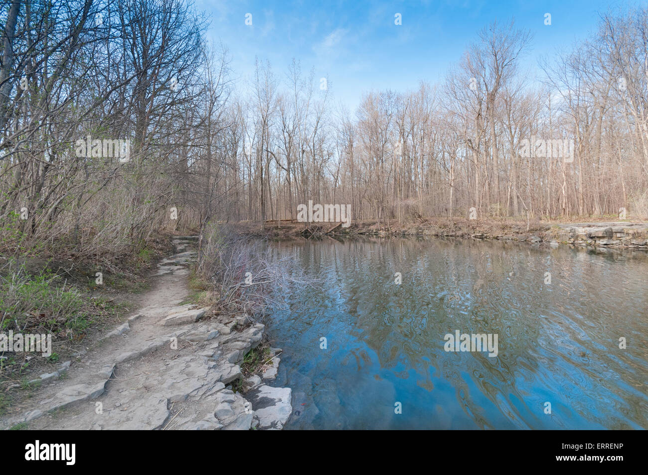 Angrignon park hi-res stock photography and images - Alamy