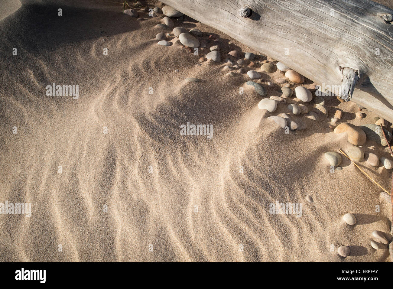 Culbin Forest Scotland High Resolution Stock Photography and Images - Alamy