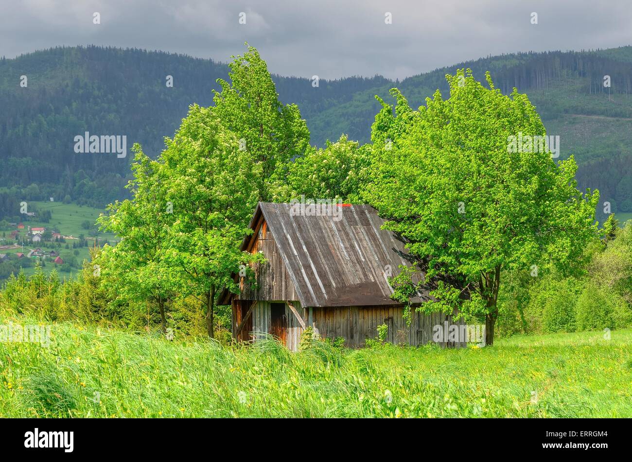 Hut among trees hi-res stock photography and images - Alamy