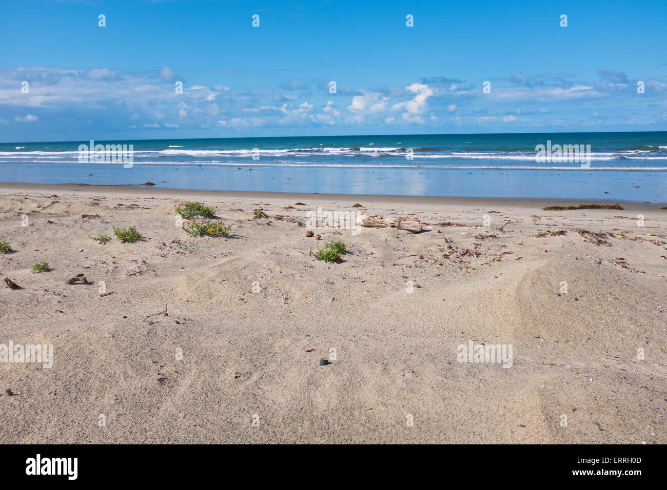 Camp pendleton hi-res stock photography and images - Alamy