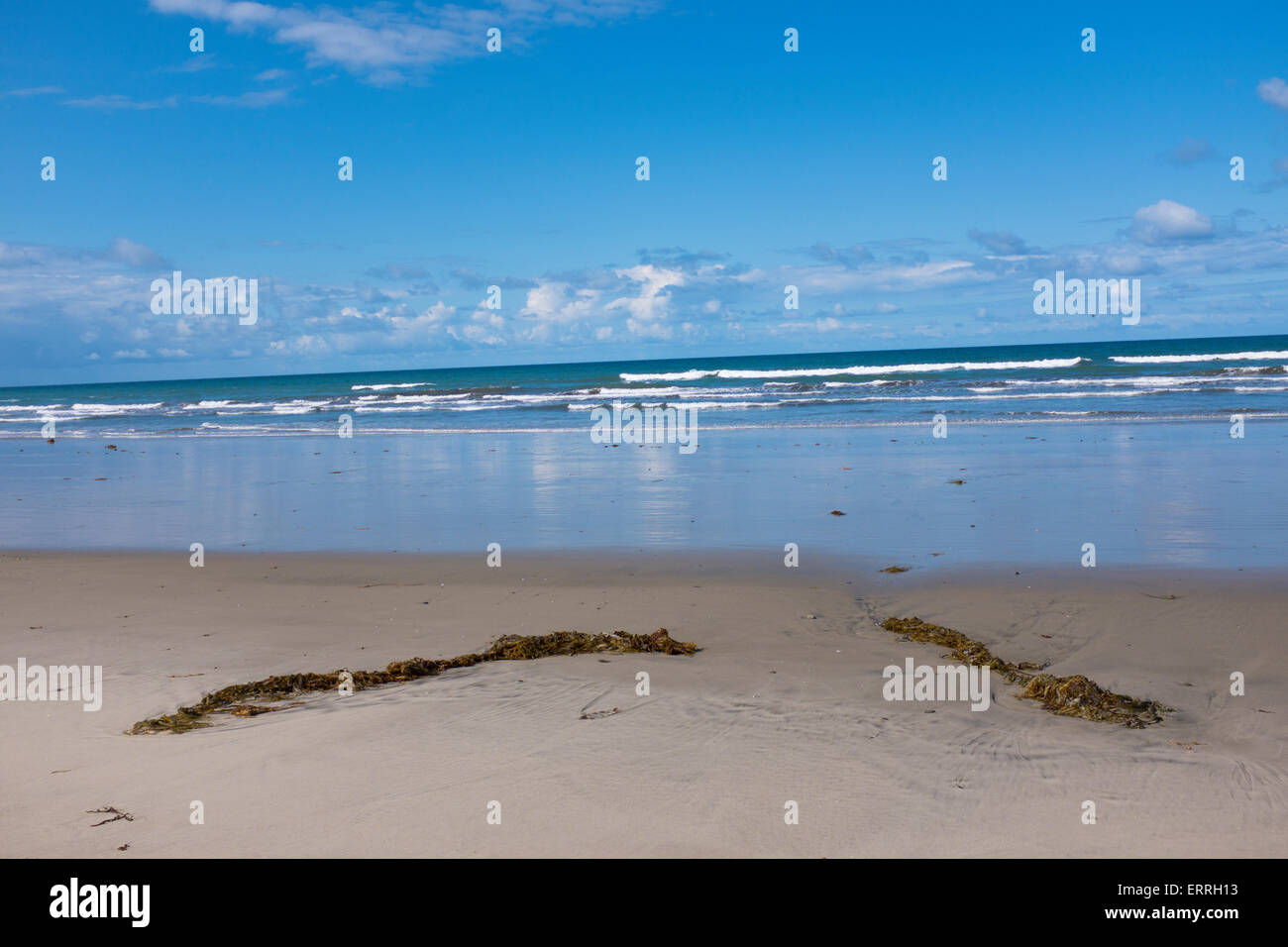 Beach camping at Marine Base Camp Pendleton Stock Photo - Alamy