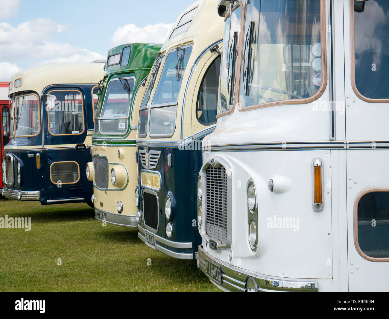 A line up of historic bus and coach at the Southdown 100 bus rally ...