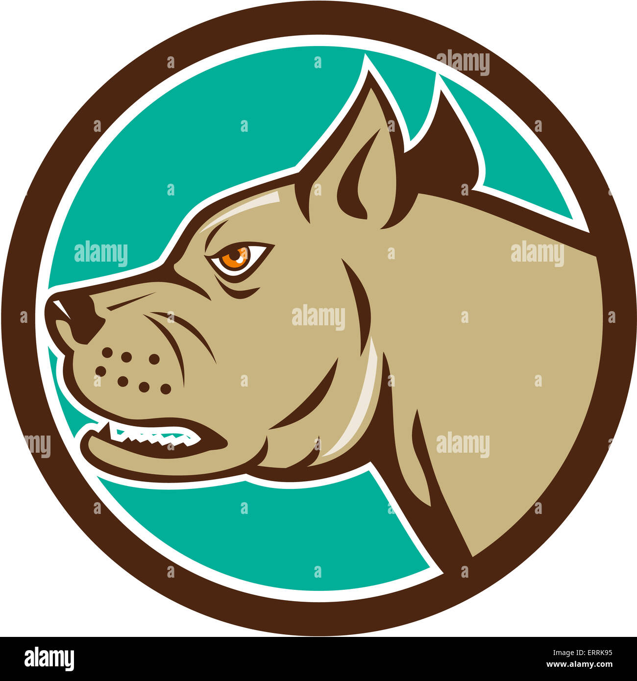 Illustration of a head of an angry mastiff dog mongrel viewed from side ...