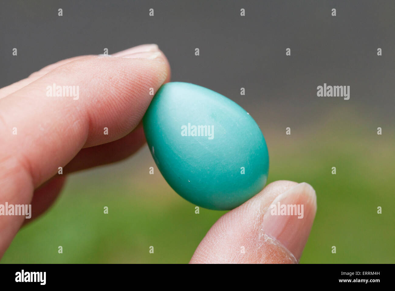 Holding eggs in hand hi-res stock photography and images - Alamy