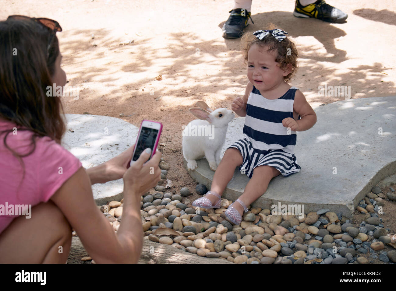 Child rabbit. Young child unhappy at the presence of a playful rabbit ...