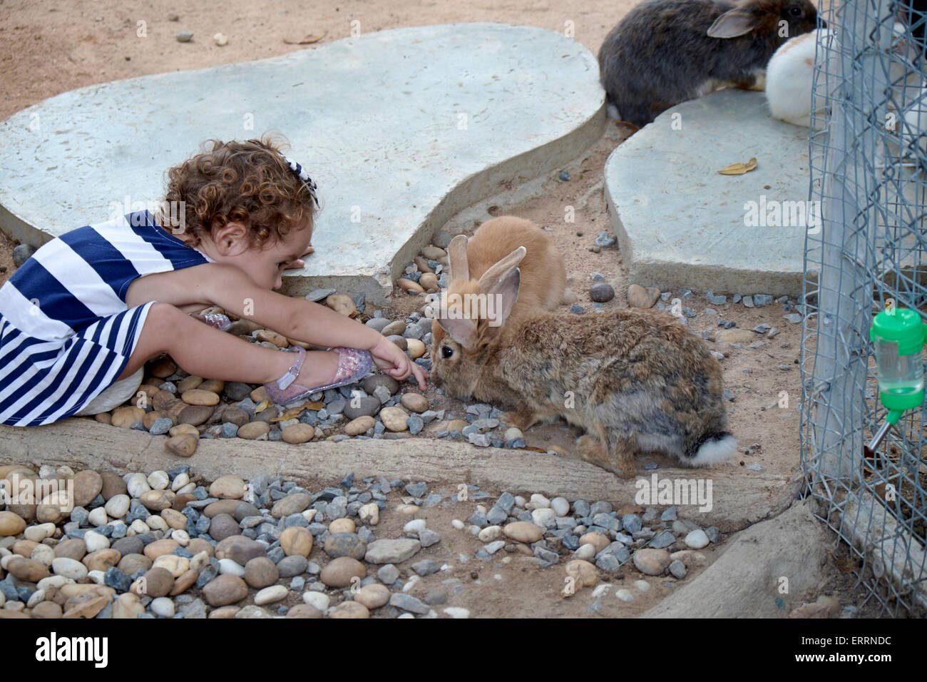 Child with rabbit Stock Photo - Alamy
