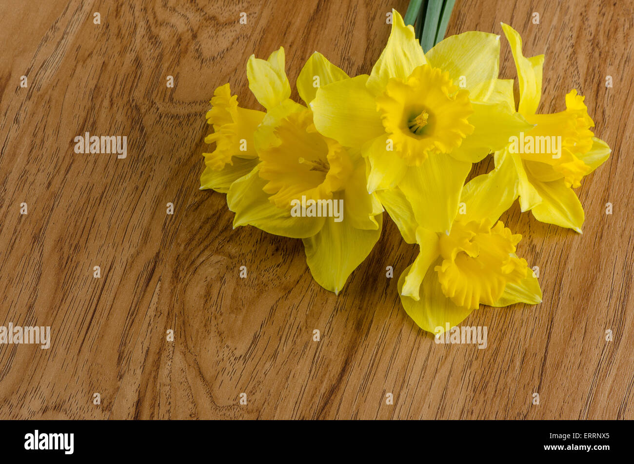 Yellow jonquil flowers on wooden background Stock Photo - Alamy