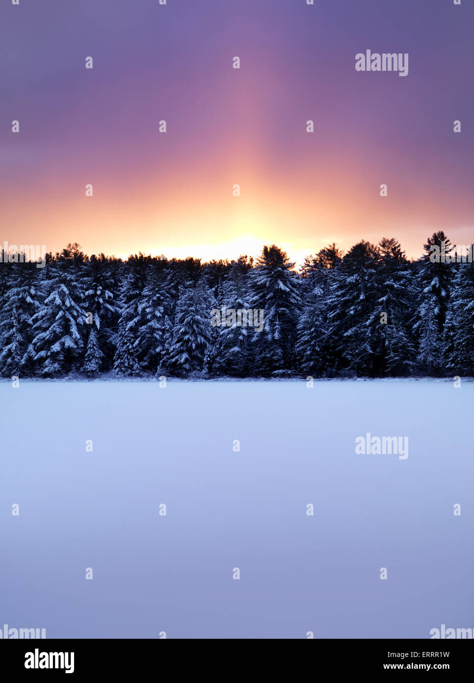 Glowing red sunset behind snow covered trees and a frozen lake ...