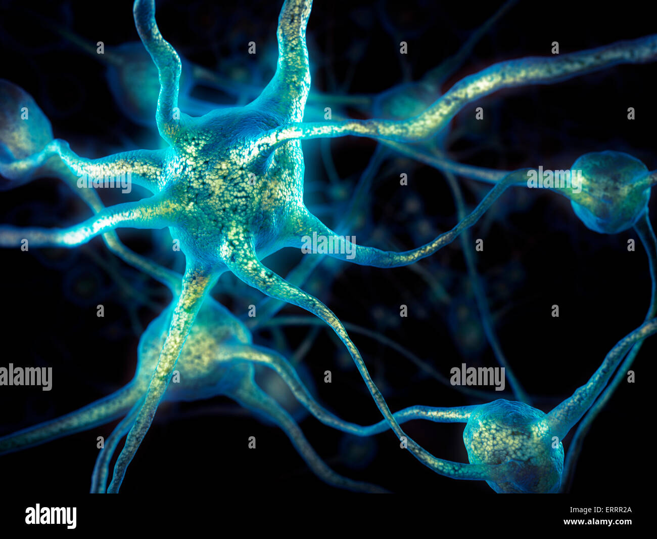 Human brain illustration colour hi-res stock photography and images - Alamy