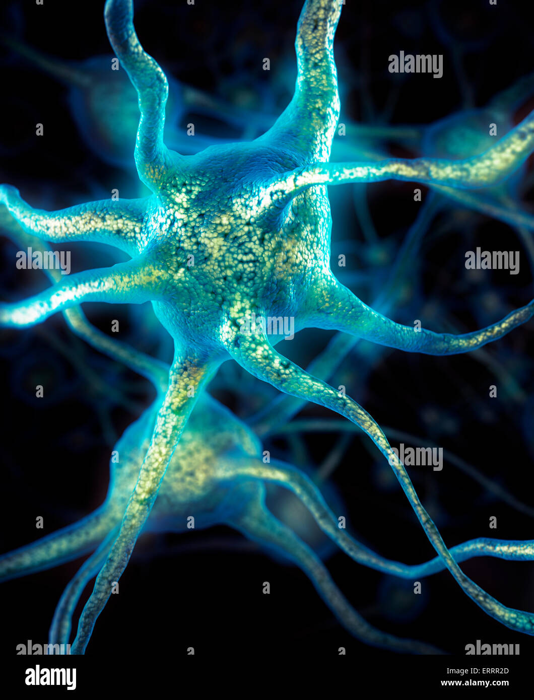 Digital neurons hi-res stock photography and images - Alamy