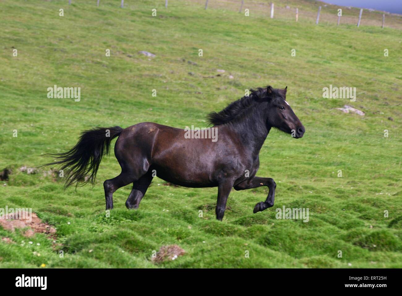 Tolting hi-res stock photography and images - Alamy