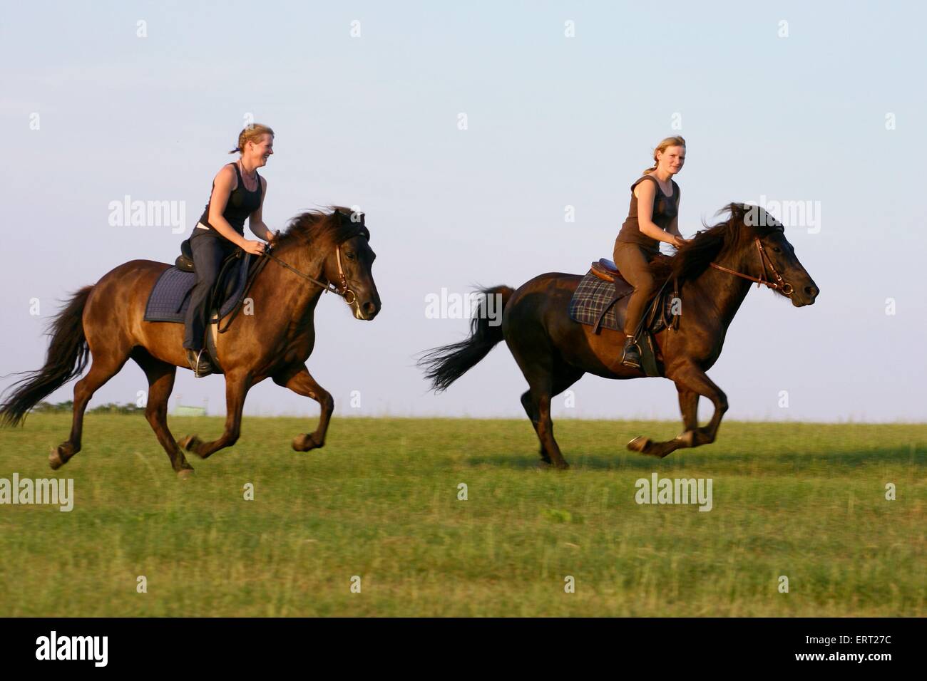 riding with Islandpony Stock Photo - Alamy