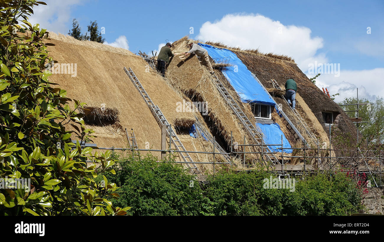 Wytham hi-res stock photography and images - Alamy