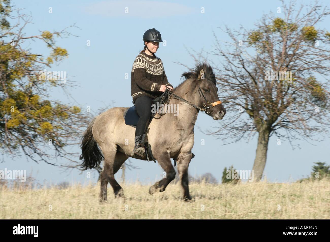 Tolting hi-res stock photography and images - Alamy