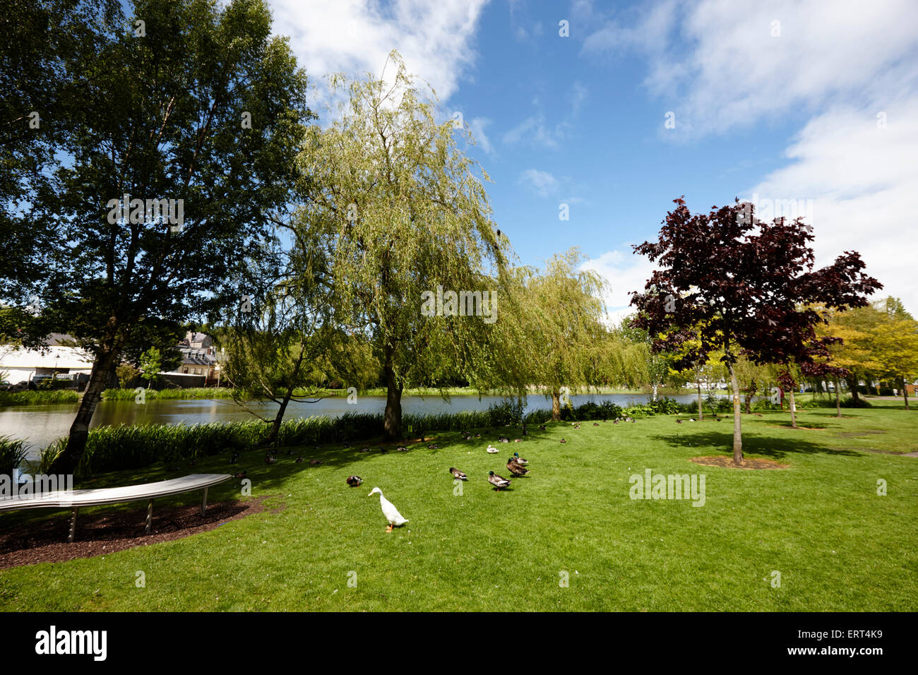 patena lake known as peters lake monaghan town county monaghan republic ...