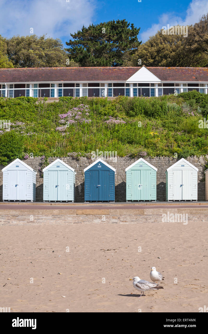Beach huts at Alum Chine, Bournemouth, Dorset UK in June Stock Photo ...