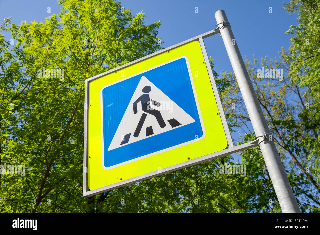 Pedestrian crossing. Road sign above blue sky and green trees ...