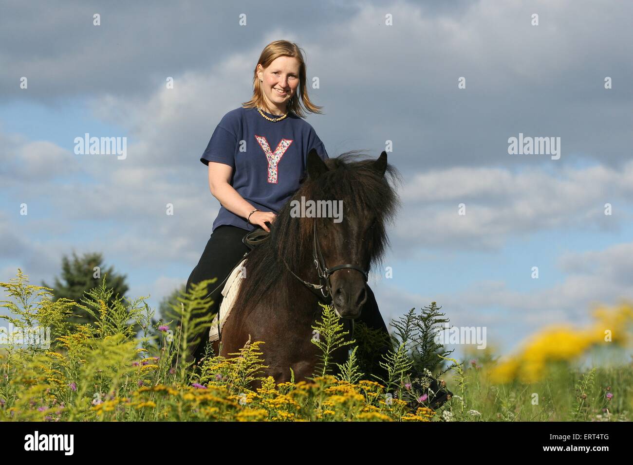 riding a gaited horse Stock Photo - Alamy