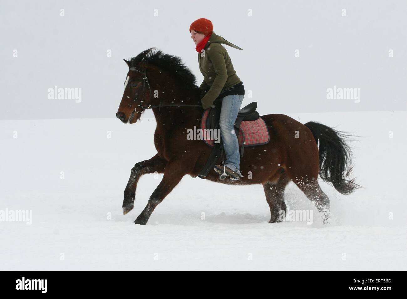riding in snow Stock Photo - Alamy