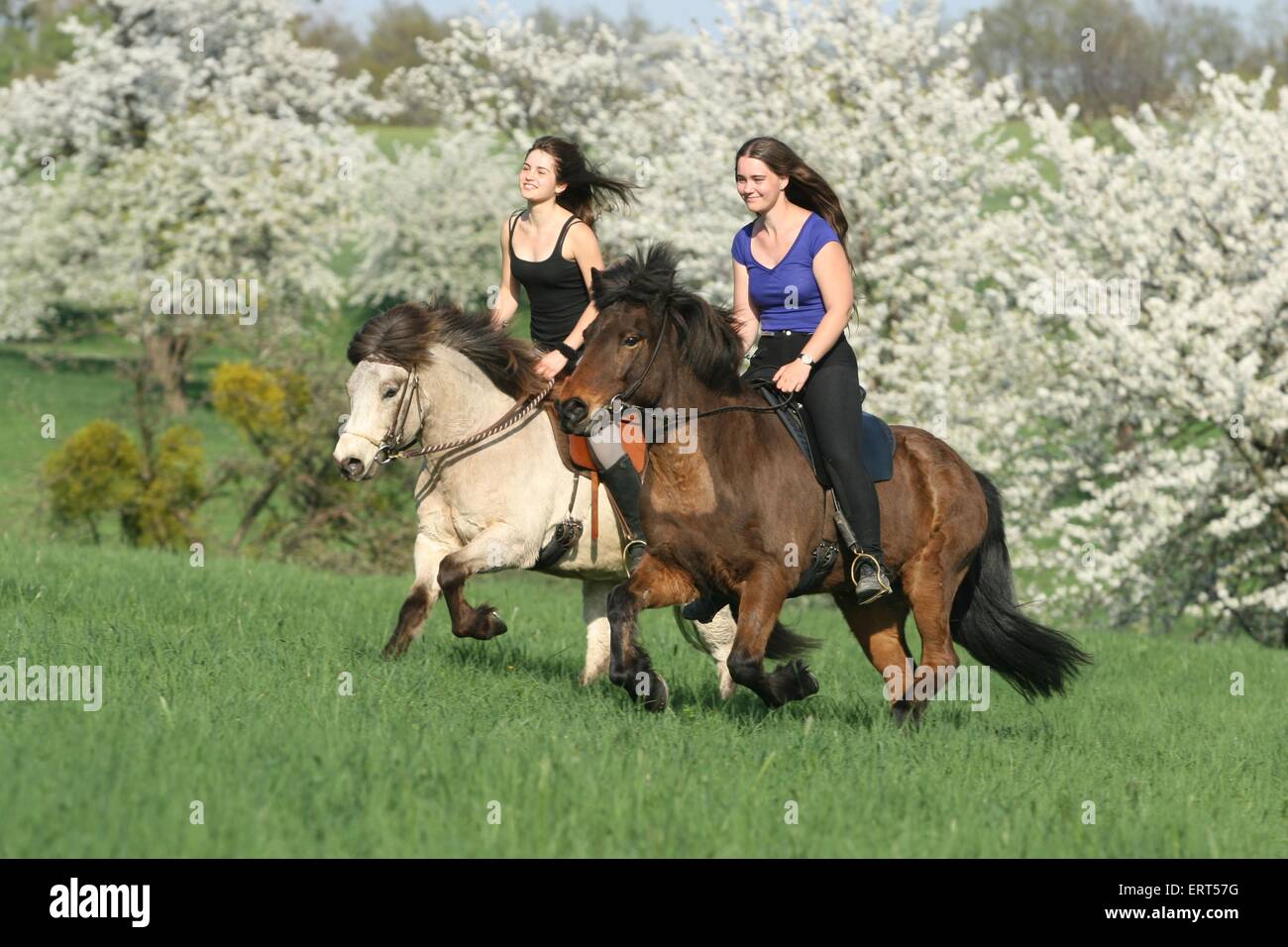 Two ponies riders riding hi-res stock photography and images - Alamy