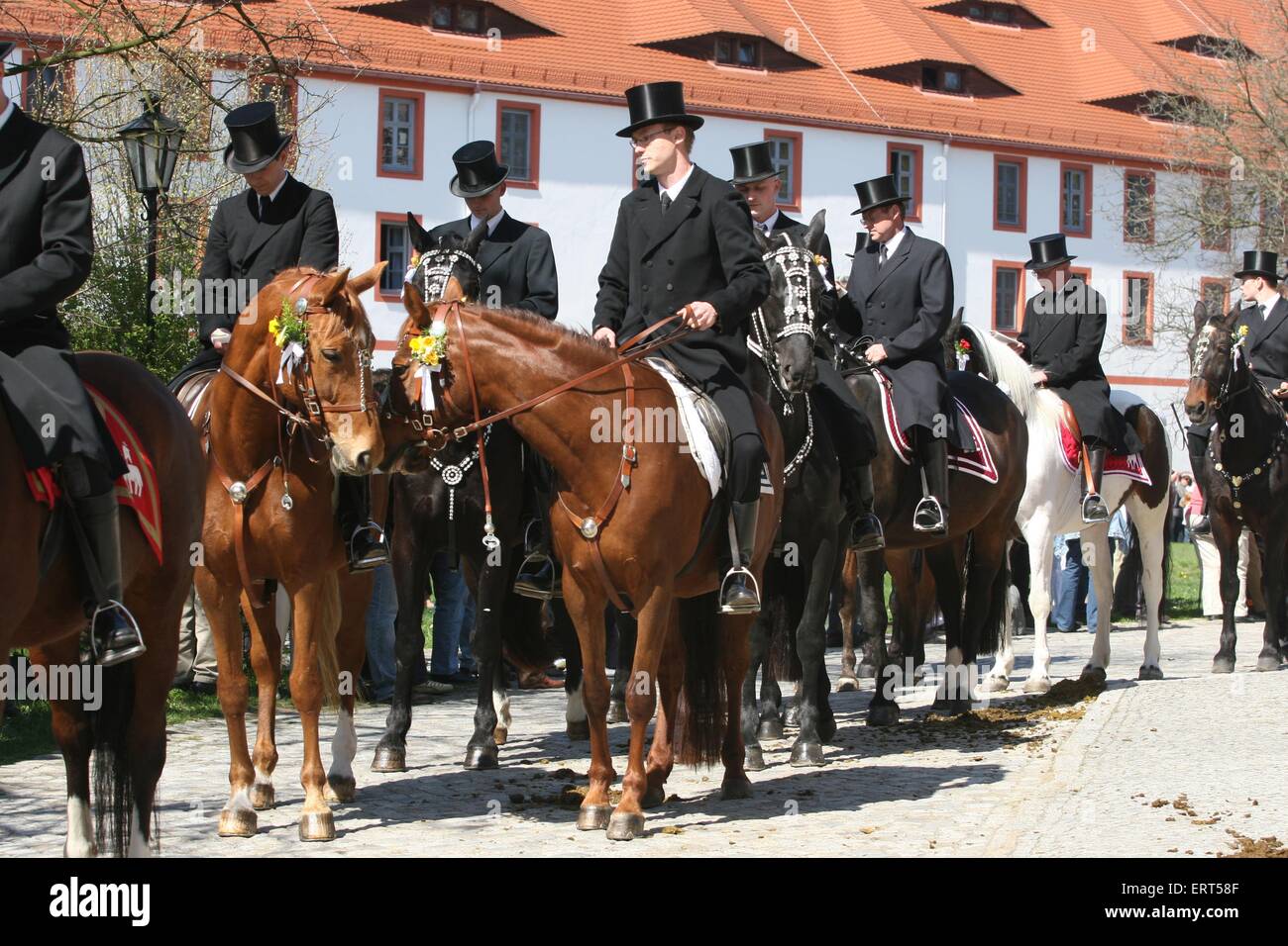 Spring riding horse hi-res stock photography and images - Alamy